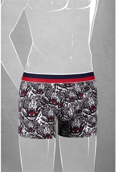 Doreanse Erkek Çocuk Renkli Boxer 610