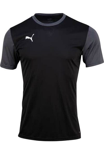 Puma Teamgoal 23 Sideline Tee Erkek Futbol Tişörtü 65648403 Siyah