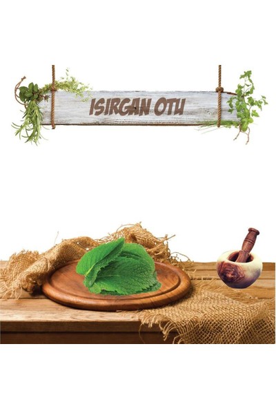 Aktar Diyarı Isırgan Yaprağı Öğütülmüş 500 gr Aktar Diyarı Aktar Diyarı Isırgan Yaprağı Öğütülmüş 500 gr Aktar Diyarı