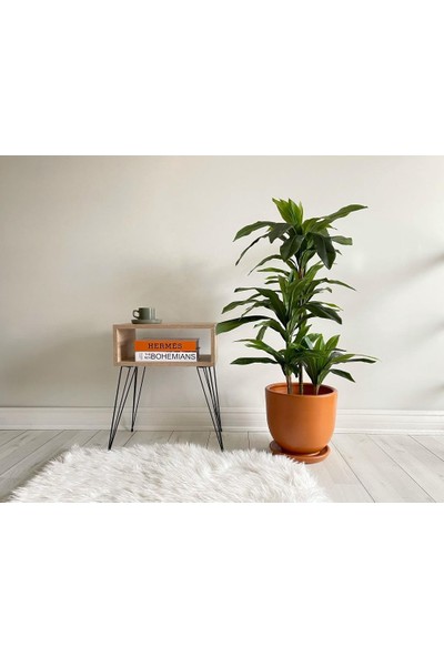 Odka Saksı Tabaklı 30CM Klasik Saksı Serisi Kiremit Renk Odka Saksı Tabaklı 30CM Klasik Saksı Serisi Kiremit Renk