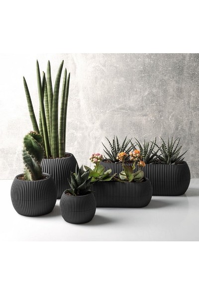 Temmuz Home Karasu Mercan Saksı Seti 5 Li Set Temmuz Home Karasu Mercan Saksı Seti 5 Li Set