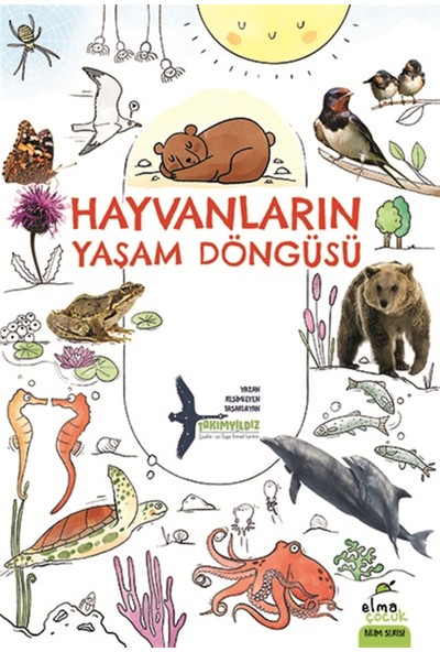Hayvanların Yaşam Döngüsü - Takımyıldız