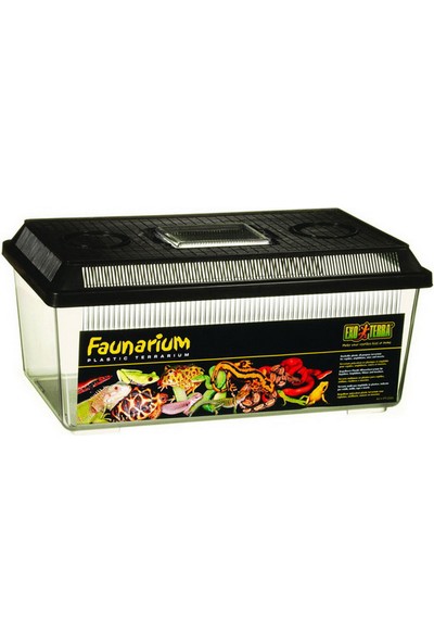 Exo-Terra Sürüngen Bahçesi Orta