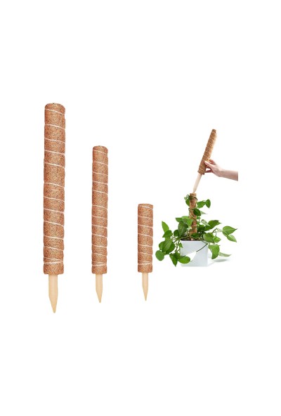 Bahçem Koko Sarmaşık Destek Çubuğu 3'lü Set