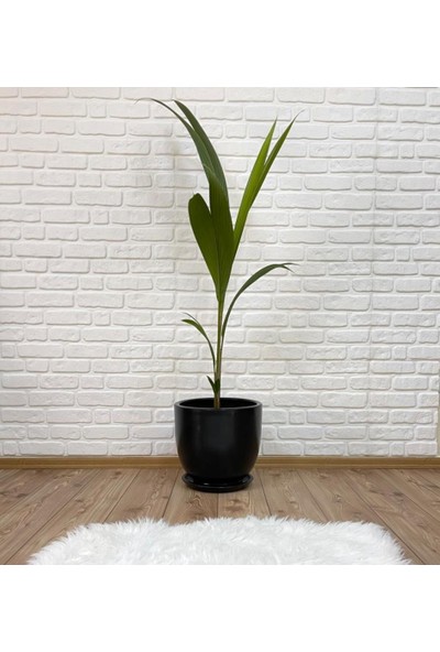 Odka Saksı Tabaklı 40CM Odka Saksı Tabaklı 40CM