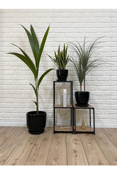 Odka Saksı Seti( Tabaklı ) Odka Saksı Seti( Tabaklı )