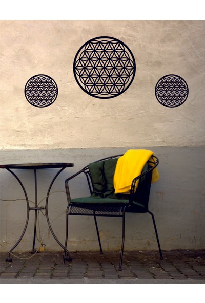 Evde Ucuz Yaşam Çiçeği 3 Parça Set