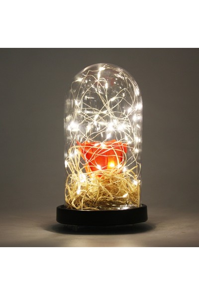 Delux Işıklı Fanusta Kırmızı Solmayan Gül Tasarımı Delux Işıklı Fanusta Kırmızı Solmayan Gül Tasarımı