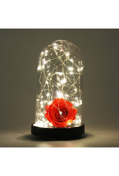 Fanusta Peri Ledli Kırmızı Solmayan Gül Tasarımı Fanusta Peri Ledli Kırmızı Solmayan Gül Tasarımı