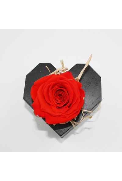 Kalbim Serisi Siyah Saksıda Kırmızı Solmayan Gül Tasarımı