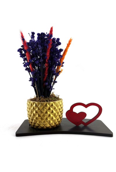 Depoking Gold Tasarım Saksıda Kokulu Mor Lavanta