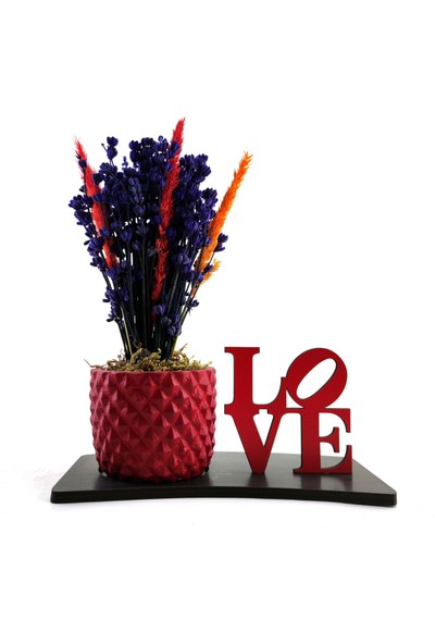 Depoking Love Tasarımlı Kırmızı Saksıda Kokulu Mor Lavanta Depoking Love Tasarımlı Kırmızı Saksıda Kokulu Mor Lavanta