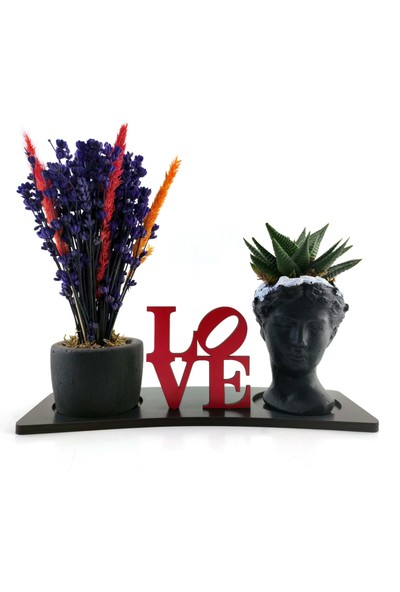 Depoking Love Tasarımlı Helen Saksıda Sukulent ve Kokulu Lavanta Depoking Love Tasarımlı Helen Saksıda Sukulent ve Kokulu Lavanta