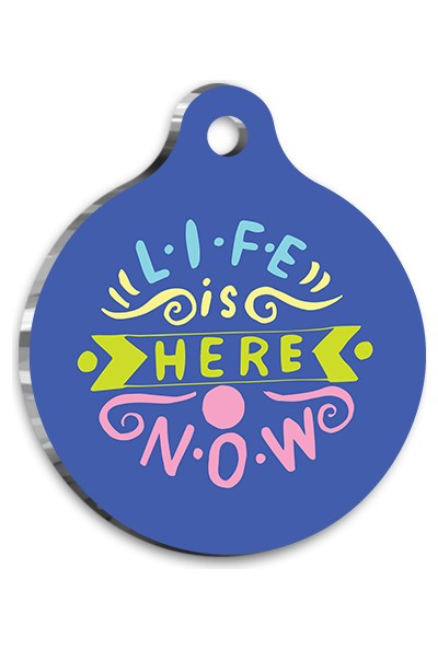 Ozcmax Şimdi ve Burada (Here & Now) Kedi Köpek Künyesi-Zoo Ozcmax Şimdi ve Burada (Here & Now) Kedi Köpek Künyesi-Zoo