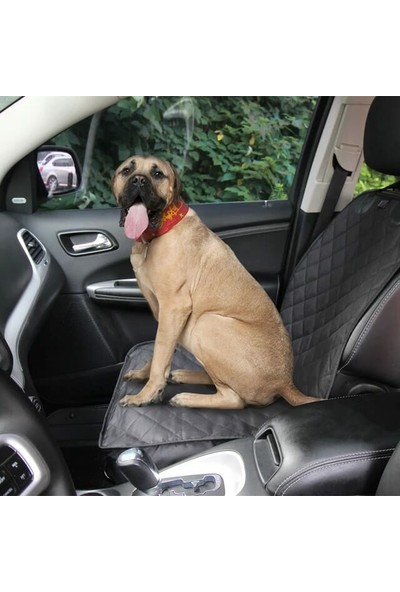 Markaflex Araba Oto Araç Koltuk Kılıfı Örtüsü Sıvı Su Geçirmez Evcil Hayvan Kedi Köpek Ön Koltuk Örtüsü (2 Adet) Markaflex Araba Oto Araç Koltuk Kılıfı Örtüsü Sıvı Su Geçirmez Evcil Hayvan Kedi Köpek Ön Koltuk Örtüsü (2 Adet)