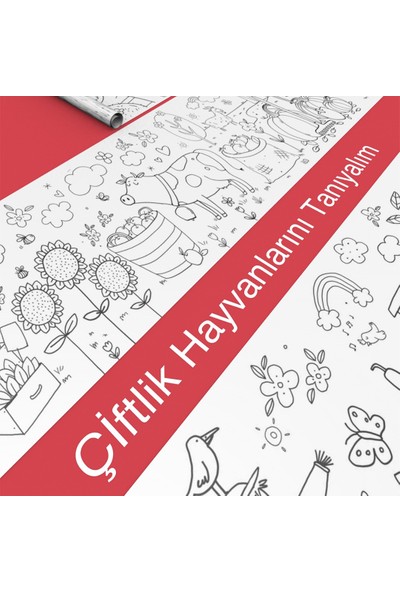 Proll Çiftlik Hayvanlarını Tanıyalım Proll Çiftlik Hayvanlarını Tanıyalım