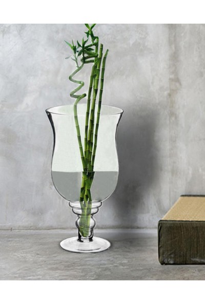 Selene Çi̇çek Bambu Dekor Vazo Fanus Ayakli H:40.5 cm