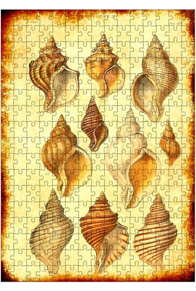 Tablomega Ahşap Mdf Puzzle Yapboz Midye Kabukları 255 Parça 35*50 cm Tablomega Ahşap Mdf Puzzle Yapboz Midye Kabukları 255 Parça 35*50 cm