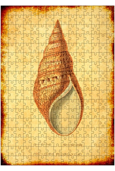Tablomega Ahşap Mdf Puzzle Yapboz Nostaljik Deniz Kabuğu 255 Parça 35*50 cm Tablomega Ahşap Mdf Puzzle Yapboz Nostaljik Deniz Kabuğu 255 Parça 35*50 cm