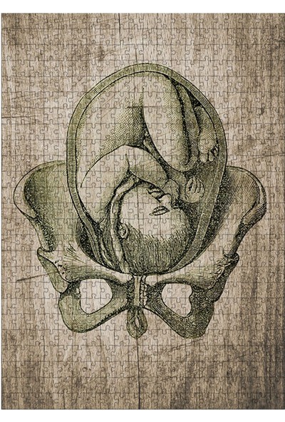 Tablomega Ahşap Mdf Puzzle Yapboz Doğmamış Bebek 500 Parça 50*70 cm Tablomega Ahşap Mdf Puzzle Yapboz Doğmamış Bebek 500 Parça 50*70 cm