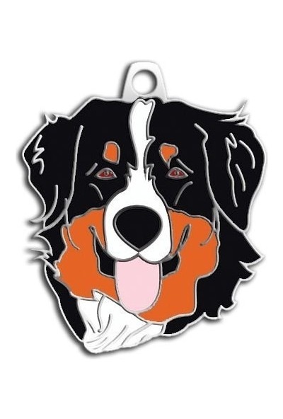 Altın Pati Avustralya Çoban Köpeği Köpek Künyesi Altın Pati Avustralya Çoban Köpeği Köpek Künyesi