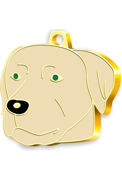 Altın Pati Altın Kaplama Şampanya Labrador Köpek Künyesi