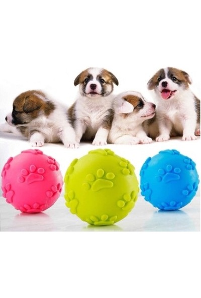 OEM Köpek Isırma Topu Pati Desenli Küçük OEM Köpek Isırma Topu Pati Desenli Küçük