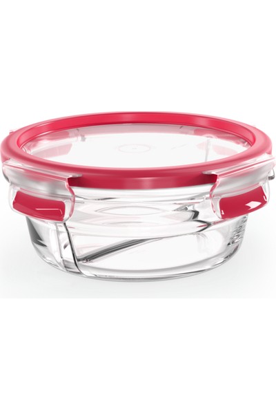 Tefal N10402 Masterseal Fırınlanabilir Cam Saklama Kabı 0,55 L - 3110600749