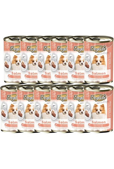 Goldlife Doglife Somonlu Köpek Konserve 400GR x 12 Adet