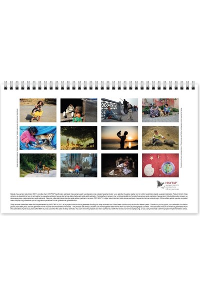 Haytap Sahipsiz Hayvanlar ve Çocuk 2022 Masa Takvimi Haytap Sahipsiz Hayvanlar ve Çocuk 2022 Masa Takvimi