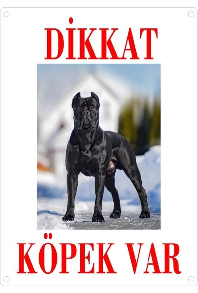 Hilall Shop Dikkat Köpek Var Uyarı Levhası (Renkli Cane Corsa) Hilall Shop Dikkat Köpek Var Uyarı Levhası (Renkli Cane Corsa)