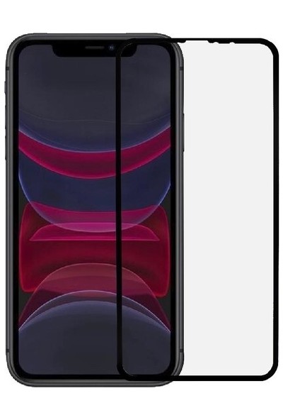 Privacy iPhone Xs Max Full Seramik ve Hayalet Cam