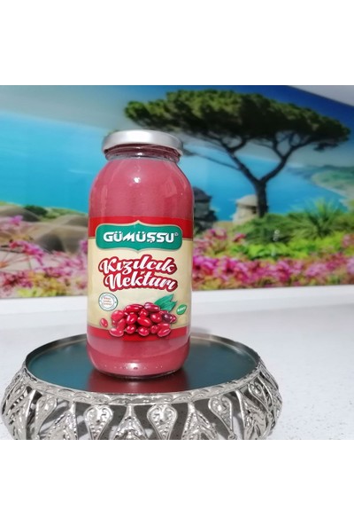 Gümüşsu Kızılcık Nektarı 250 ml (24'lü Koli)