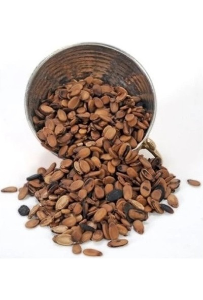 Mutlu Diyarbakır Karpuz Çekirdeği