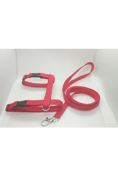 Albayrak Pet Kedi Göğüs Tasması ve Gezdirme 2li Set, Kedi Belden Tasma Albayrak Pet Kedi Göğüs Tasması ve Gezdirme 2li Set, Kedi Belden Tasma