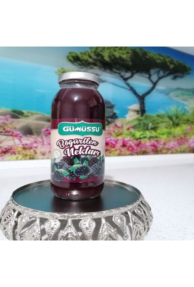 Gümüşsu Böğürtlen Nektarı 250 ml (24'lü Koli)