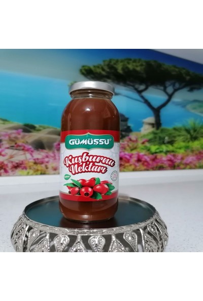 Gümüşsu Kuşburnu Nektarı 250 ml (24'lü Koli)