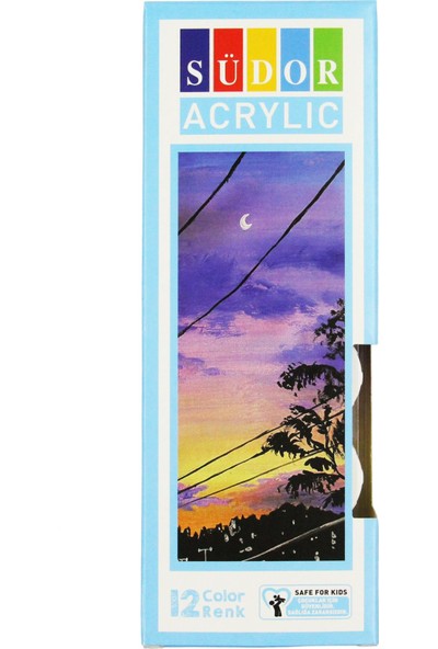 Südor Akrilik Boya Set 12X20 ml