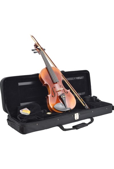 Bernam Dominguez Profesyonel Keman 4/4 (DVPG44-P1)