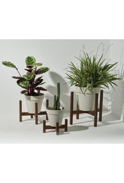 By Pallette Alya Ahşap Üçlü Saksı Altlığı