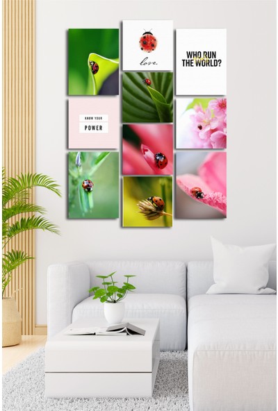 Cadran 10 Parçalı Çerçeve Görünümlü Mdf Tablo Seti FLM002