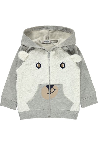 Pengim Erkek Çocuk Kapüşonlu Hırka 2-5 Yaş Gri