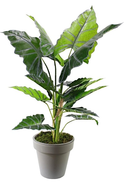 Dekorsende Yapay Alocasia Fil Kulağı Ağacı 125 cm