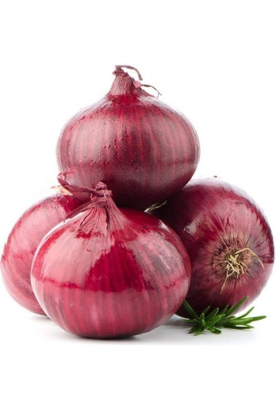 Soğan Tohumu 2 gr (Burgaz- Kapıdağ Soğanı 400+ Adet Tohum) Paşa Tohumculuk Balıkesir Soğan Tohumu 2 gr (Burgaz- Kapıdağ Soğanı 400+ Adet Tohum) Paşa Tohumculuk Balıkesir