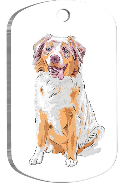 Altın Pati Australian Shepherd Resimli Köpek Künyesi Altın Pati Australian Shepherd Resimli Köpek Künyesi