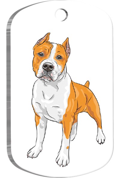 Altın Pati American Staffordshire Terrier Resimli Köpek Künyesi