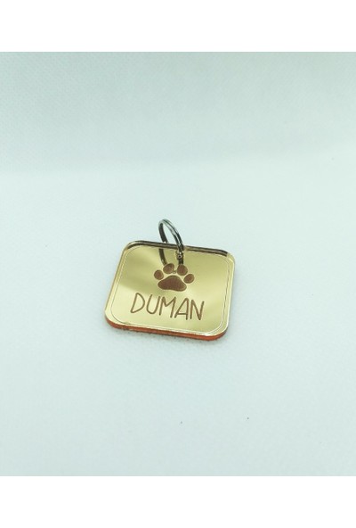 Albayrak Pet Kedi Köpek Isimlik Künye, Kaybolursam Ara