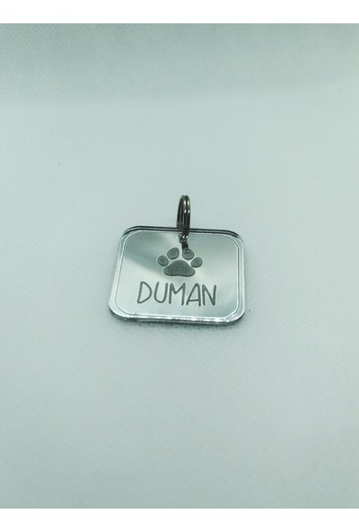 Albayrak Pet Kedi Köpek Isimlik Künye, Kaybolursam Ara