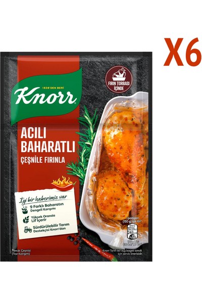 Knorr Fırında Tavuk Çeşnisi Acılı Baharatlı 31 Gram x 6