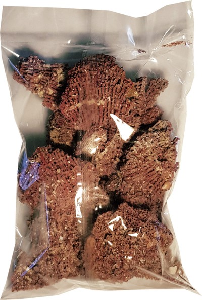 Yedi Kardeş Kanı 100 gr Yedi Kardeş Kanı 100 gr